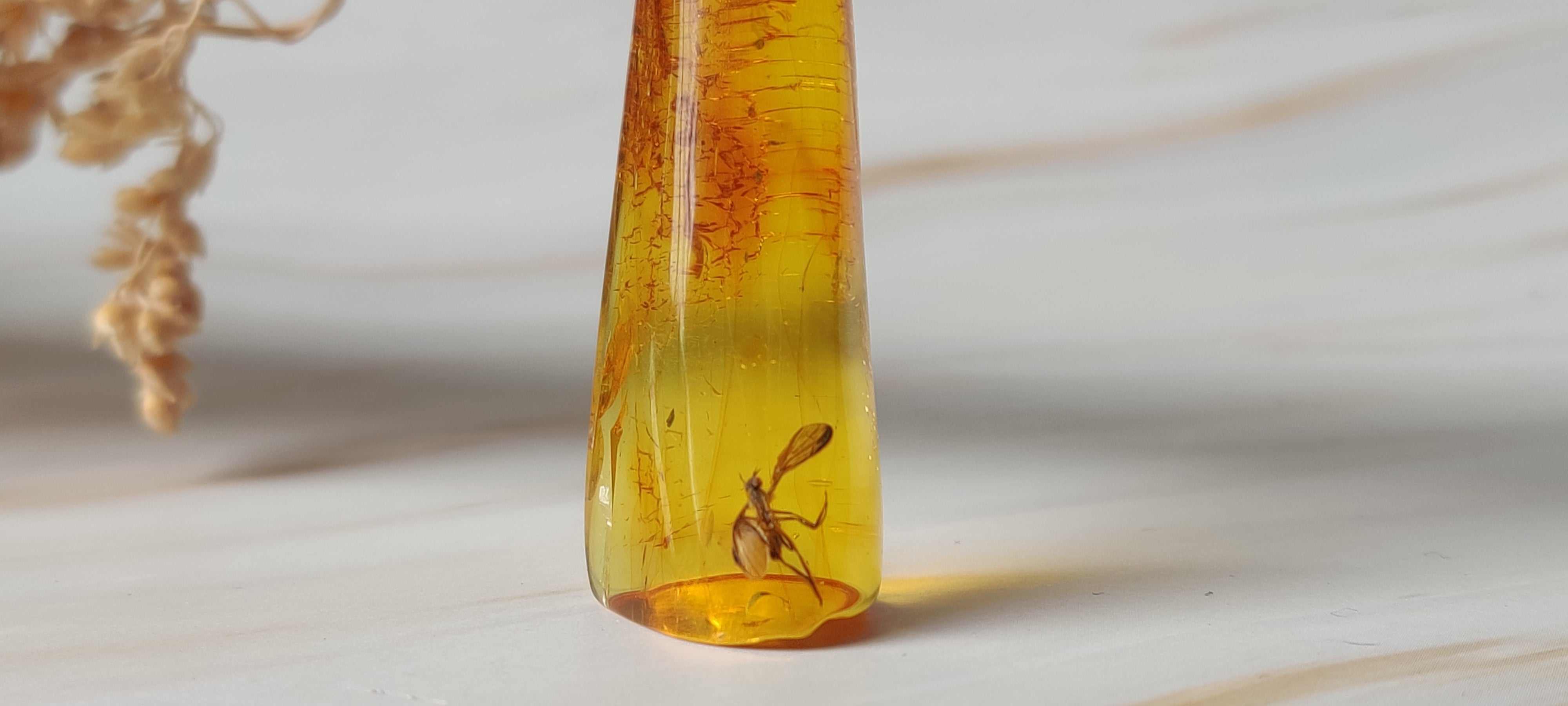 Insects Inclusions – Amber Baltic Jewellery